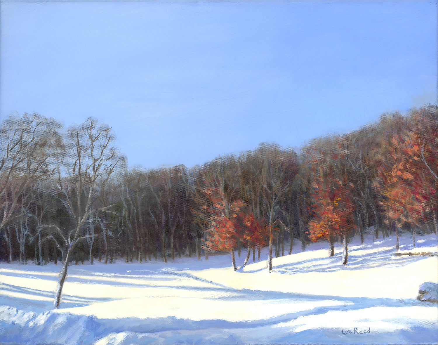 Stubborn Oak Leaves – Lisa Reed Studio, LLC